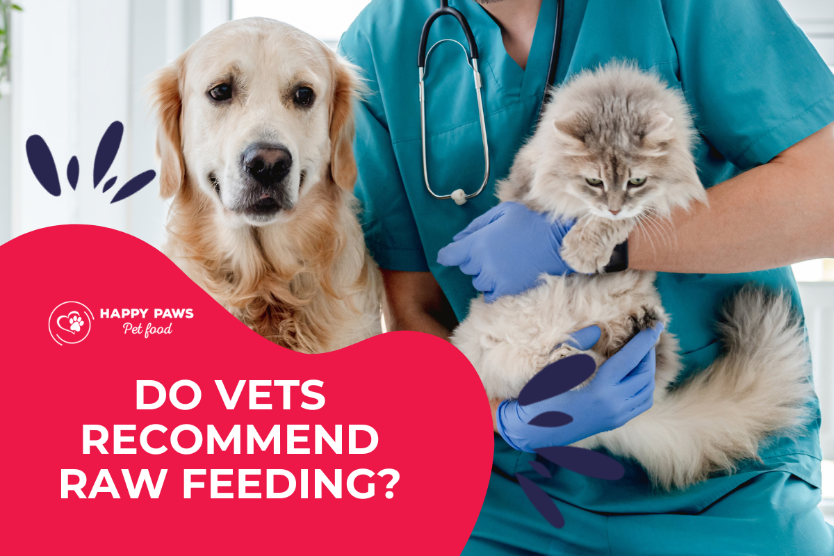 Do Vets Recommend Raw Feeding? What Pet Parents Need To Know – Happy ...